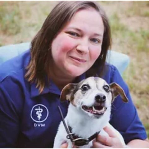 Dayton, OH 45415 Veterinarians | North Main Animal Clinic